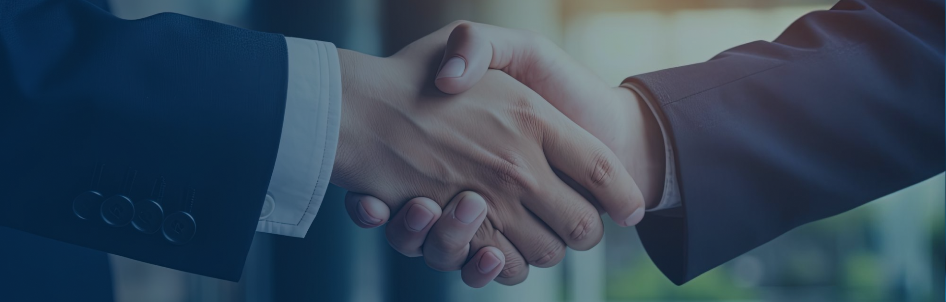 Actylis | Our Partners